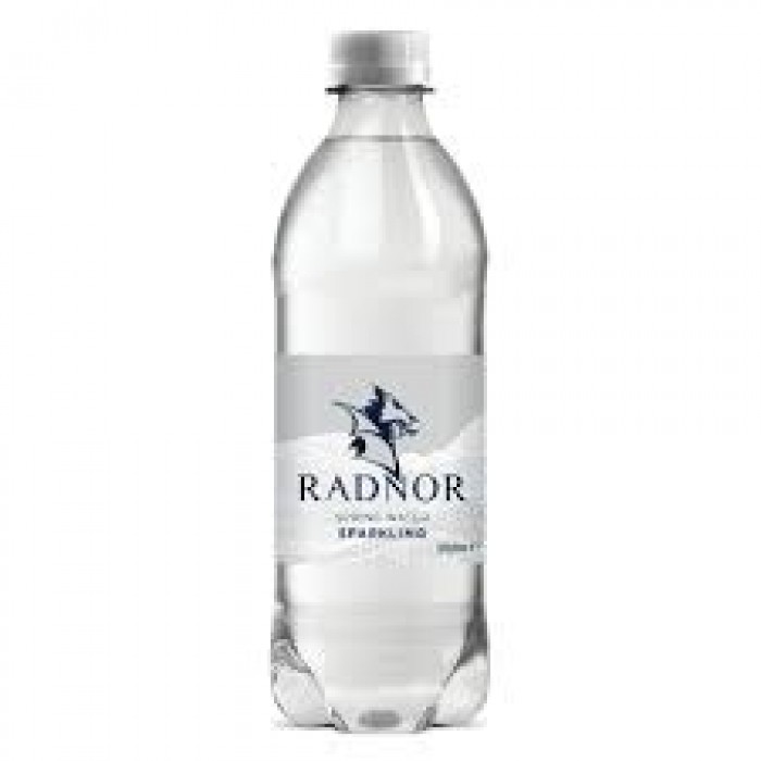 Radnor Hills Natural Sparkling Water 24 x 500ml
